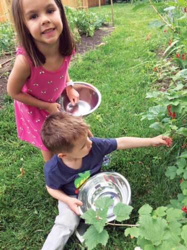 Adventures in Suburban Farming – Mother Earth News